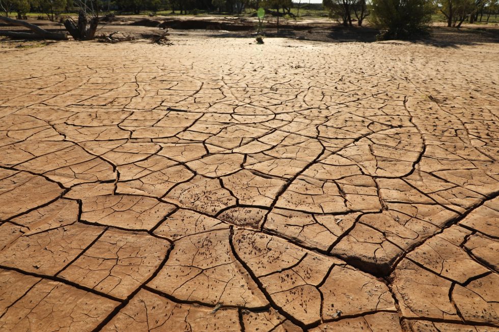 Photos: The environmental impact of the Western Qld floods | DCQ